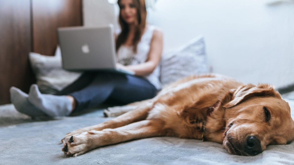 Productivity vs. Hours Worked | Hubstaff Blog
