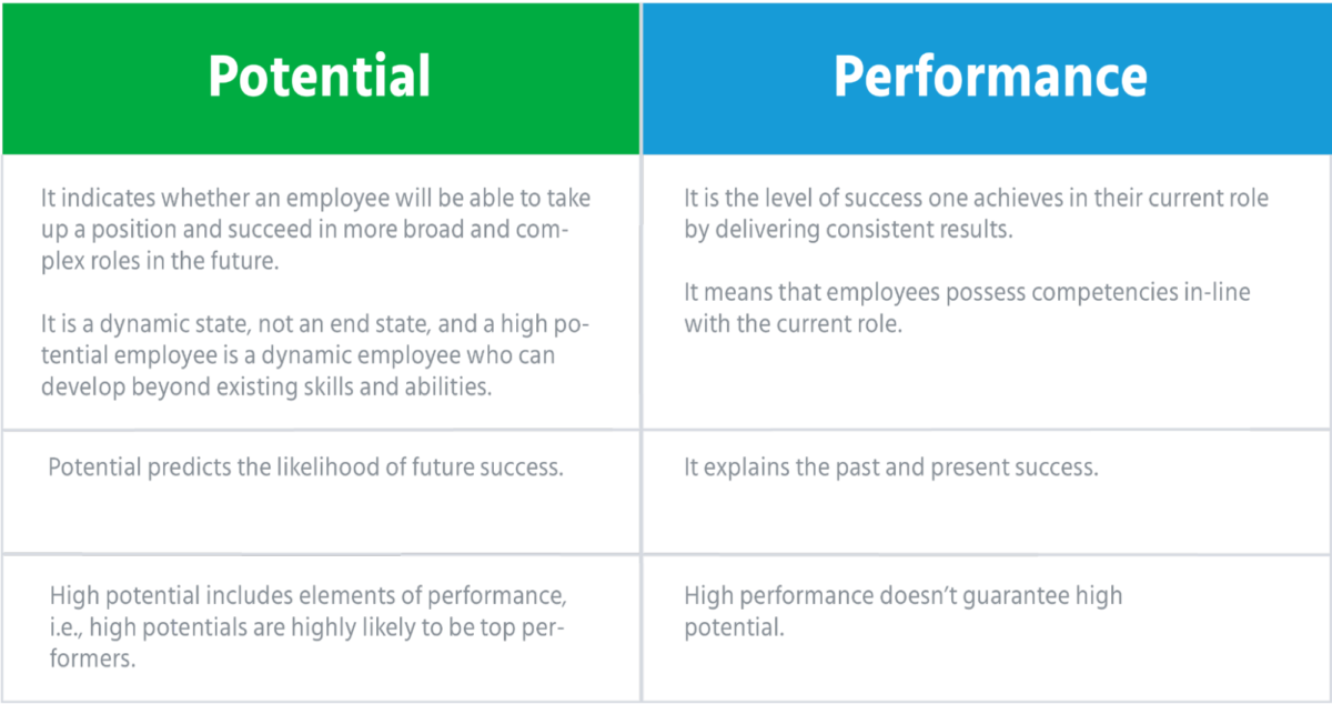 How to Identify a High Performer in Your Organization