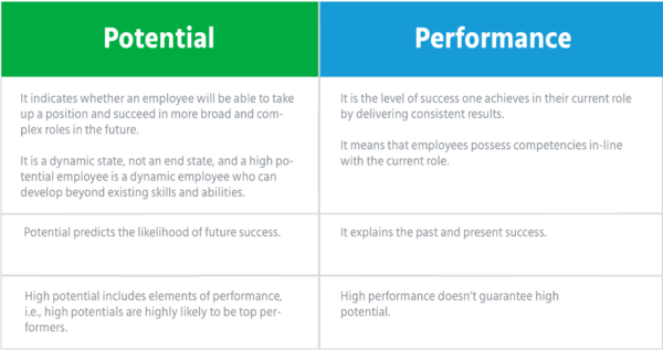 How to Identify a High Performer in Your Organization
